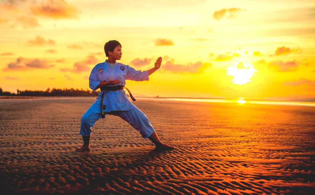 Budô: a conexão | Revista Budô