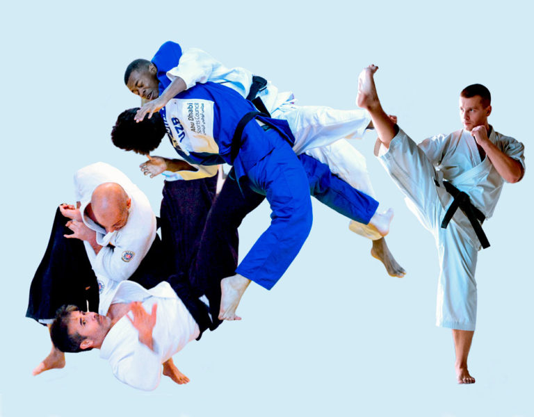 Budô: Há cultura marcial? | Revista Budô